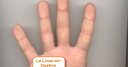 TAROT FLOR DE NOCHE: Ubicación de la línea del Destino
