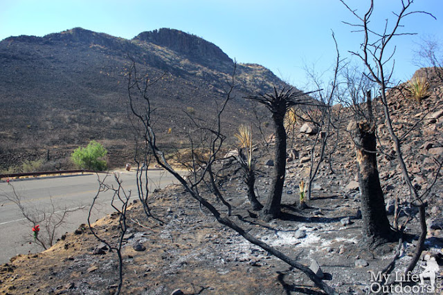 Fire Damage - Davis Mountains, Texas - My Life Outdoors