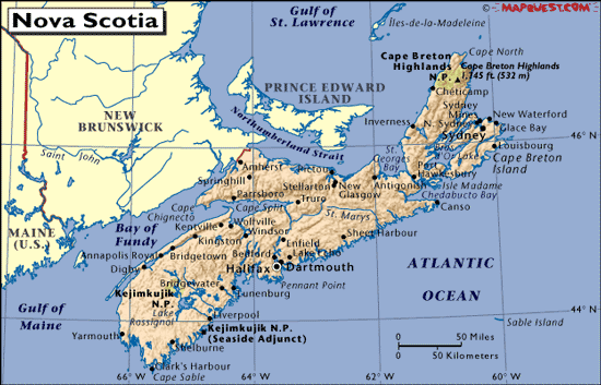 ms. brown's classroom: More Flat Friends in Nova Scotia