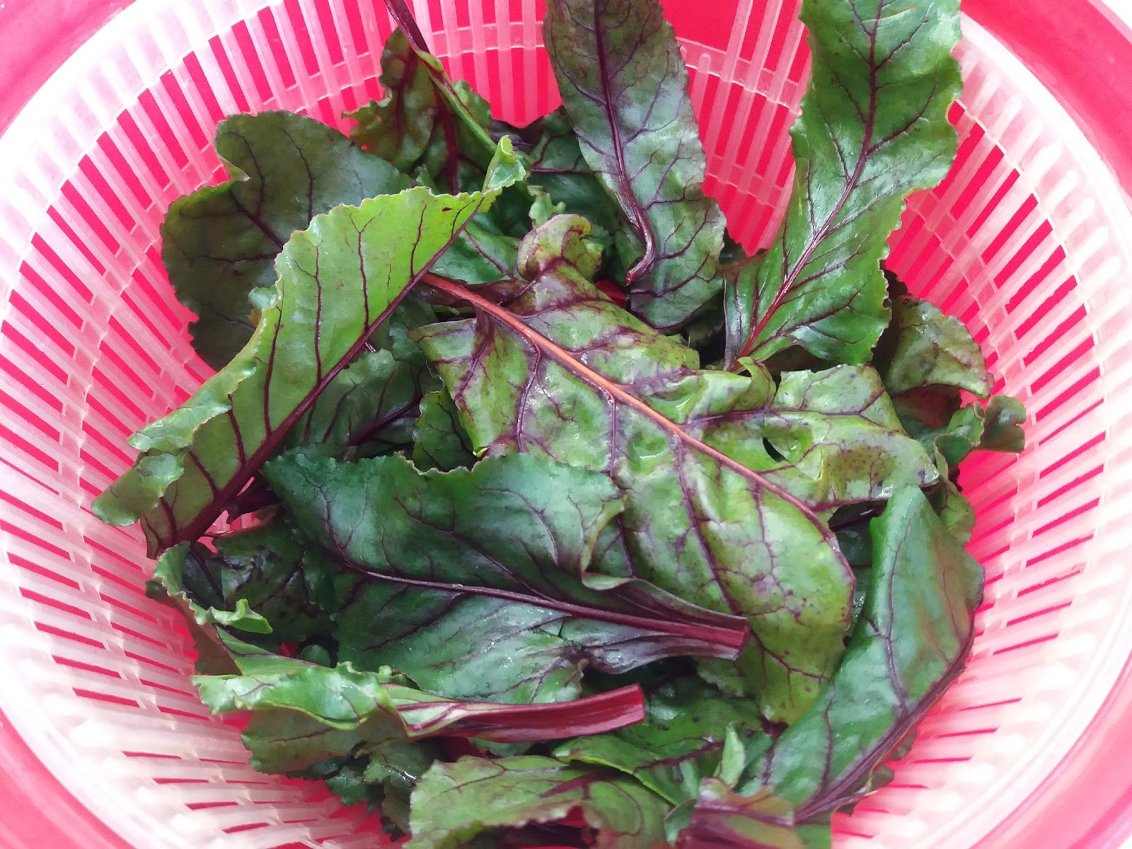 Carmeli´s: Aprovechando las hojas de la remolacha