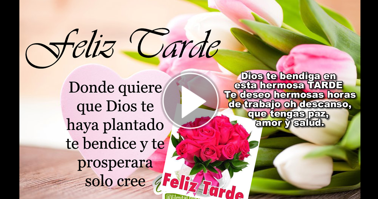Dios te bendiga en esta hermosa TARDE - Te deseo hermosas horas de ...