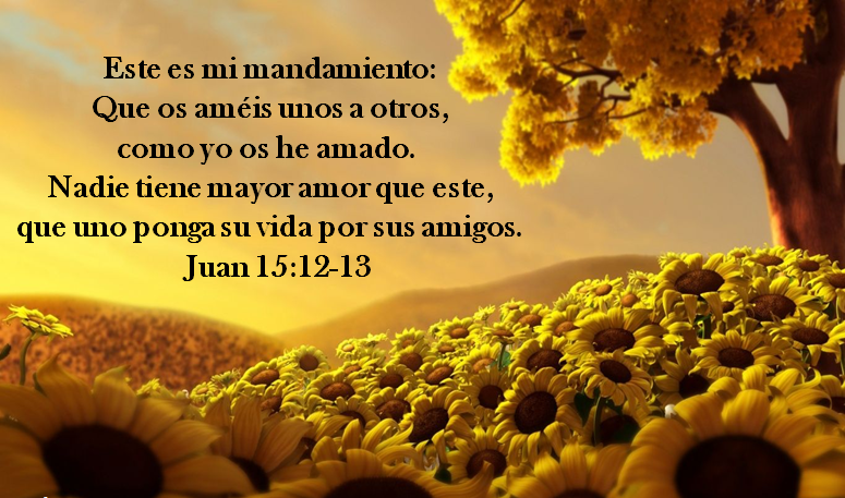 Cristo: Vida y Salvación: octubre 2013