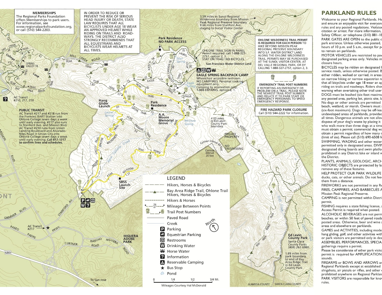 Mamma Quail Hiking California : The Hawk's Nest: Conquering Mission Peak