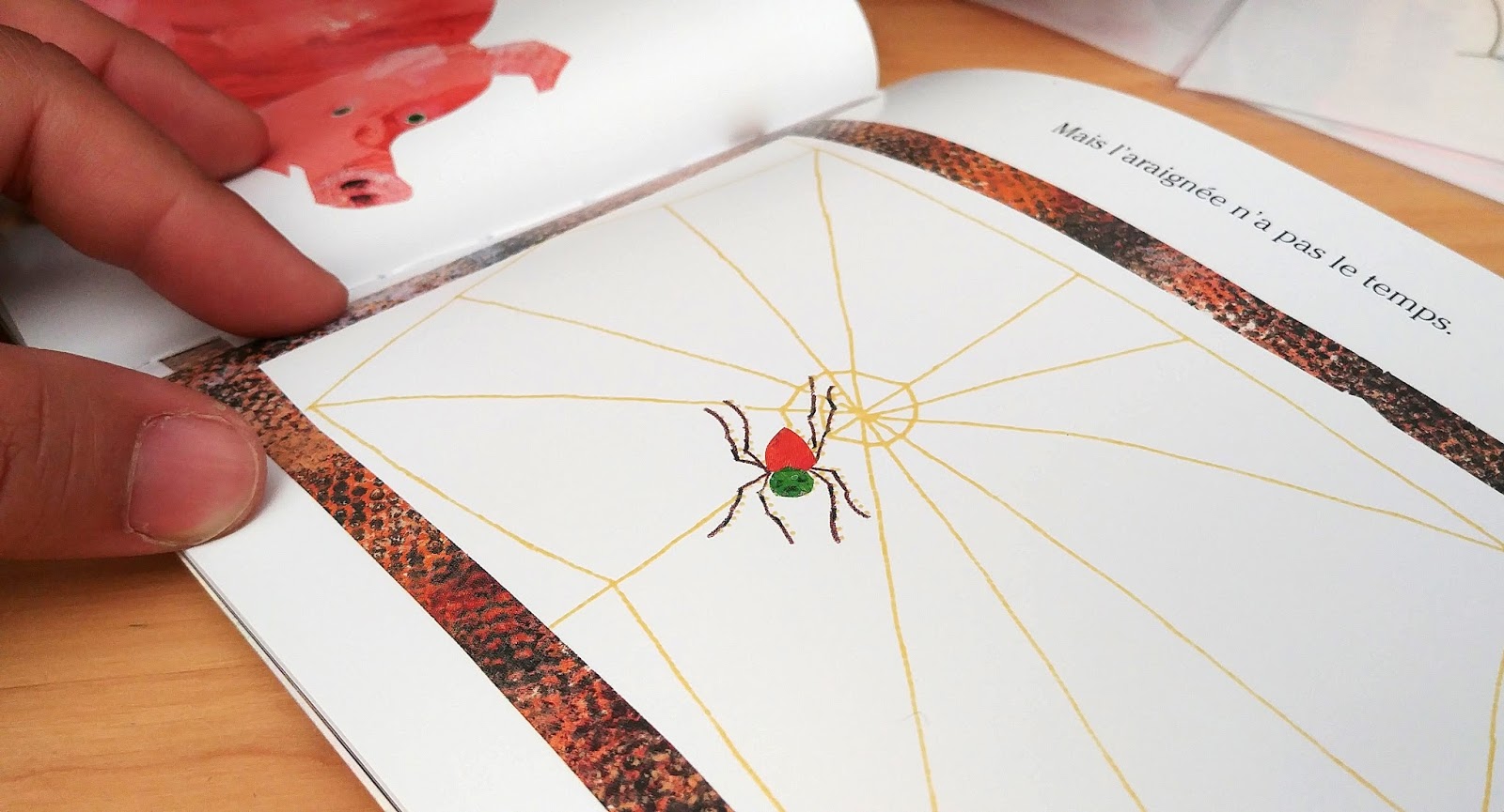 Faisons vivre les livres - L'araignée qui ne perd pas son temps - Les ...