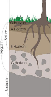 Guernsey Soil & Water Conservation District: Soil Horizons?