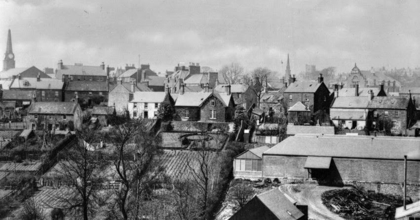 Scotland My Scotland: Memoir: Introducing the Little Red Town