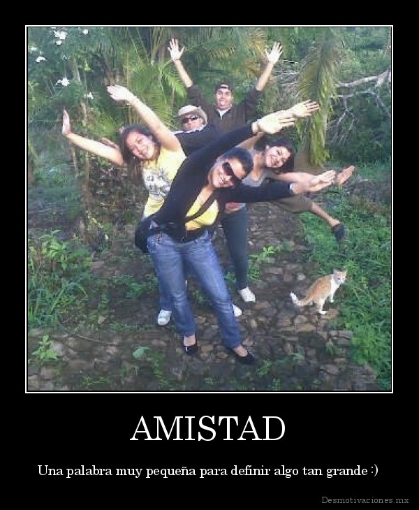 Desmotivaciones Graciosas: Desmotivaciones graciosas de amistad