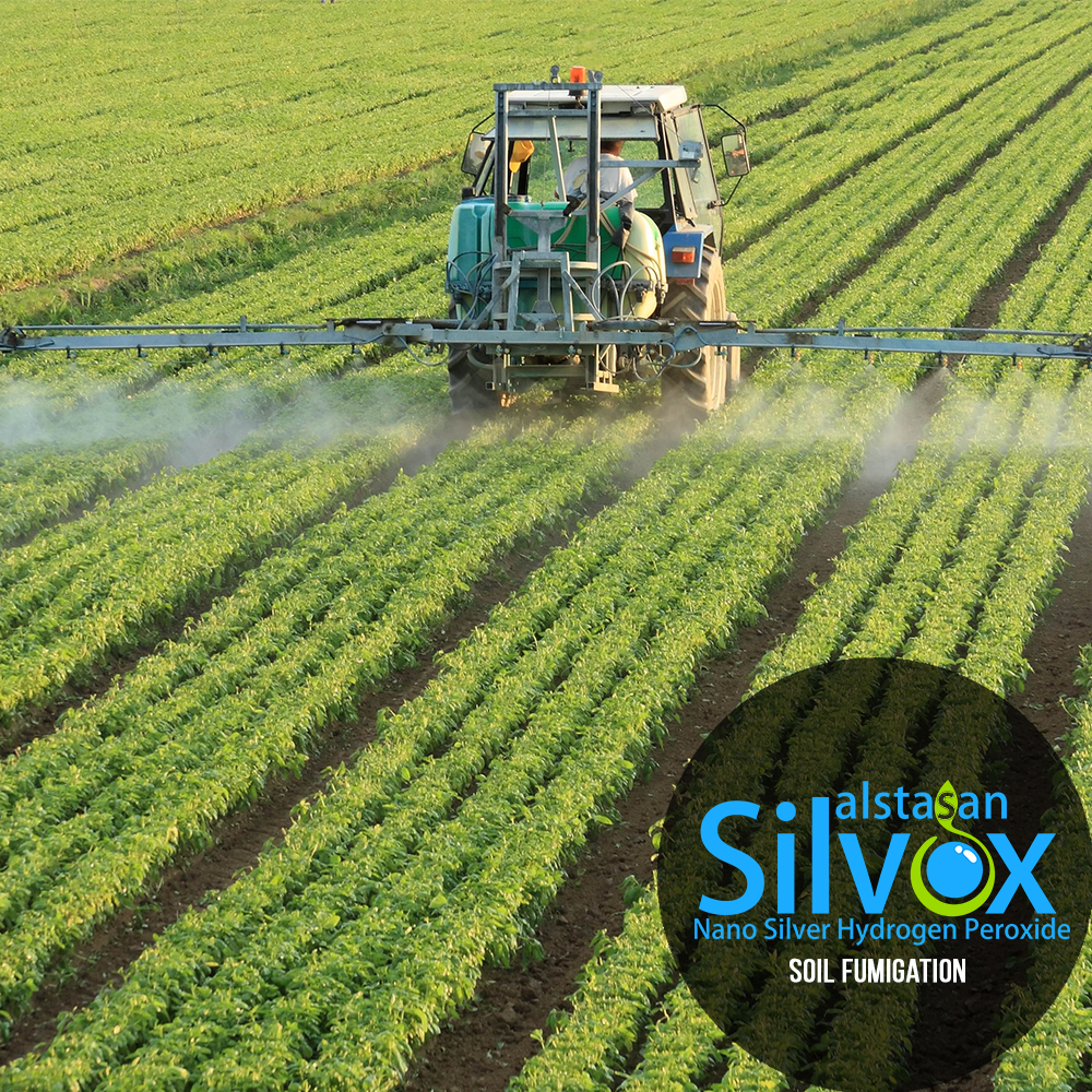 Silver Hydrogen Peroxide: SILVER HYDROGEN PEROXIDE