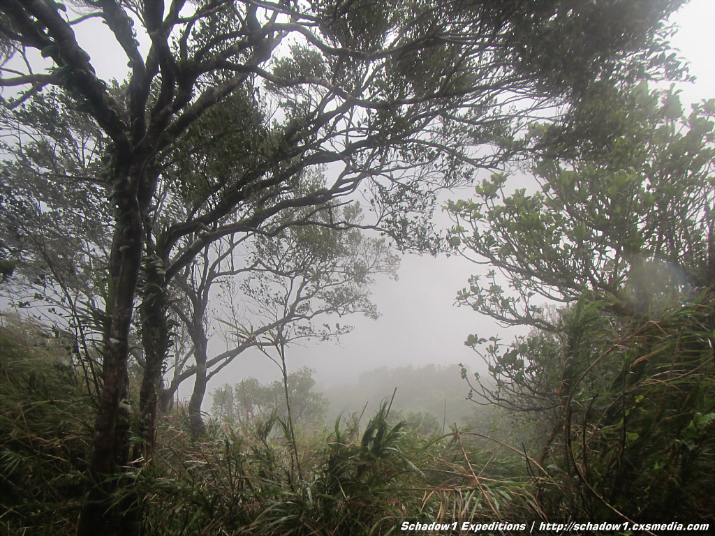 Conquering Mt. Cristobal 1470+ MASL : Schadow1 Expeditions | A travel ...