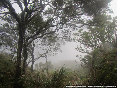 Conquering Mt. Cristobal 1470+ MASL : Schadow1 Expeditions | A travel ...