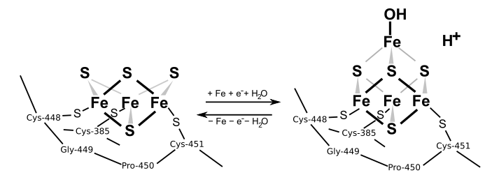 World of Biochemistry (blog about biochemistry): Krebs cycle (enzymes ...