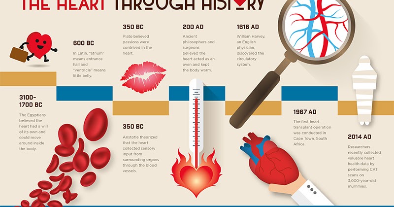 Throwback Thursday: The Heart Through History Infographic - Synergy ...