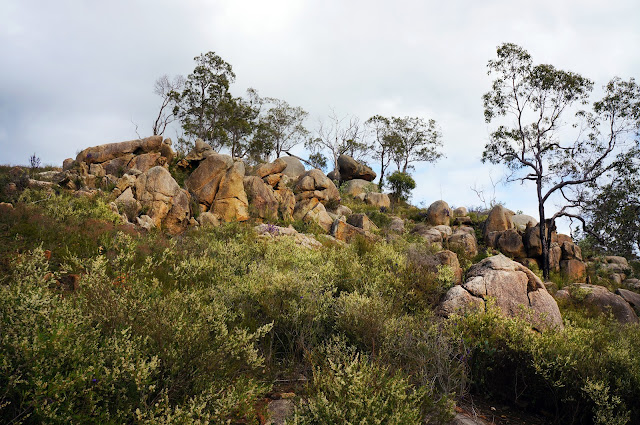 Eagle View Walk Trail (John Forrest National Park) ~ The Long Way's Better