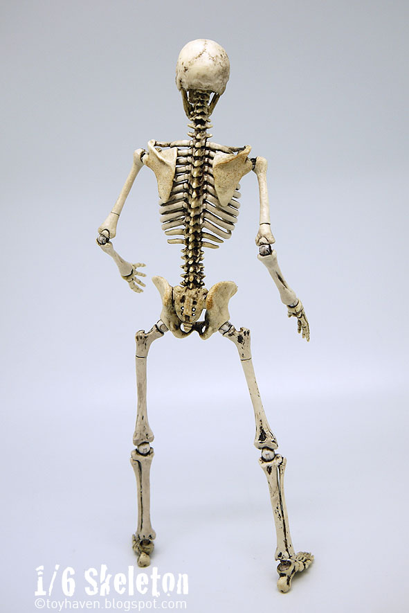 toyhaven: Review 1: Coo Model 1/6 scale Skeleton Soldier 12-inch figure ...