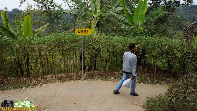 Perjalananku: Air terjun sumber 7 & ringin gantung tumpang - malang