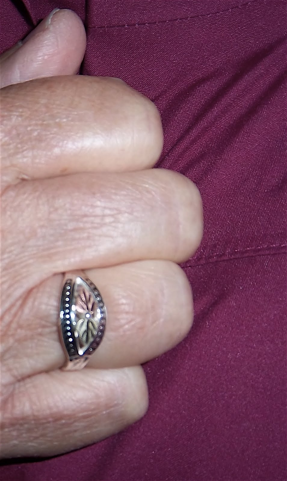 TheMeanderingMainers: Hardy south Dakotans