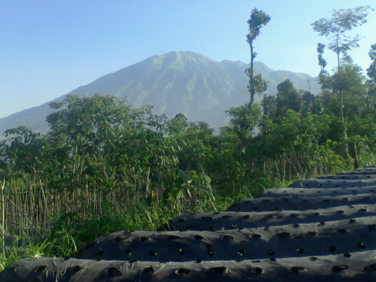 Pemandangan Gunung Merapi dari Babadan ~ Lensa Pelancong