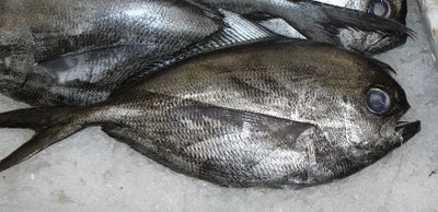 Outras Comidas: A Chaputa