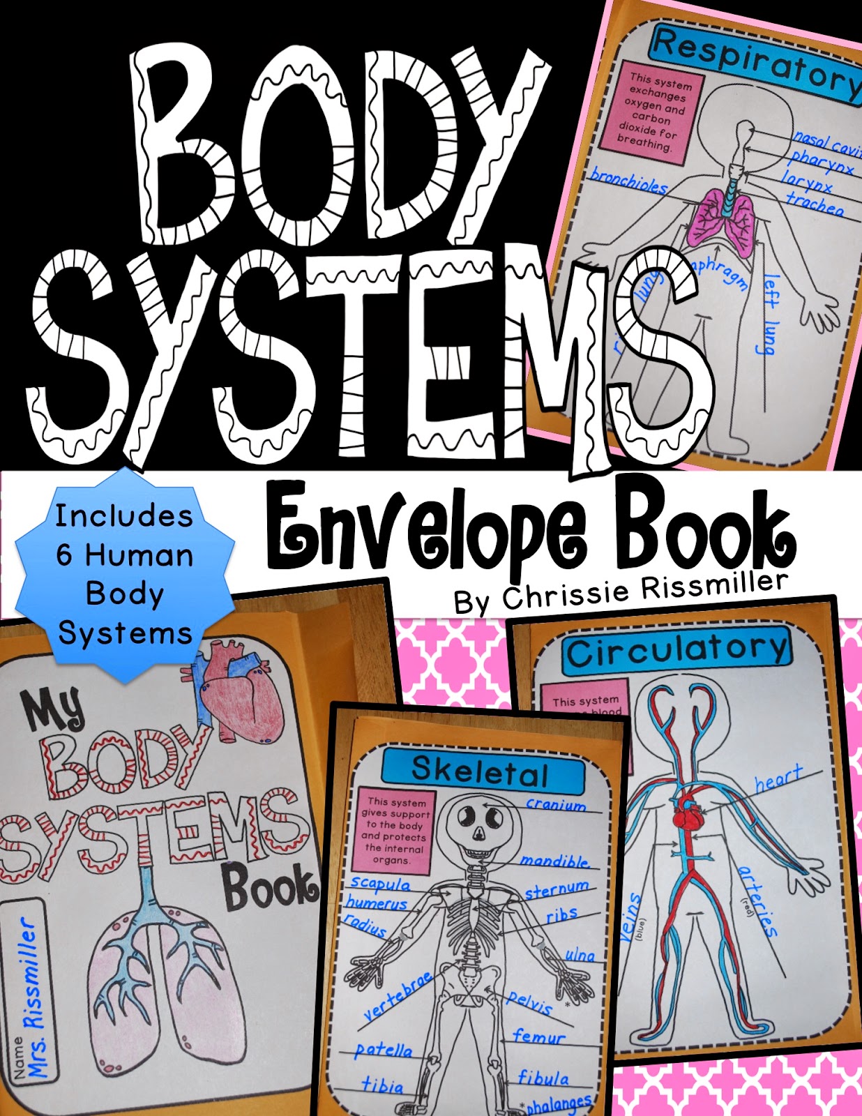 My Products - Undercover Classroom
