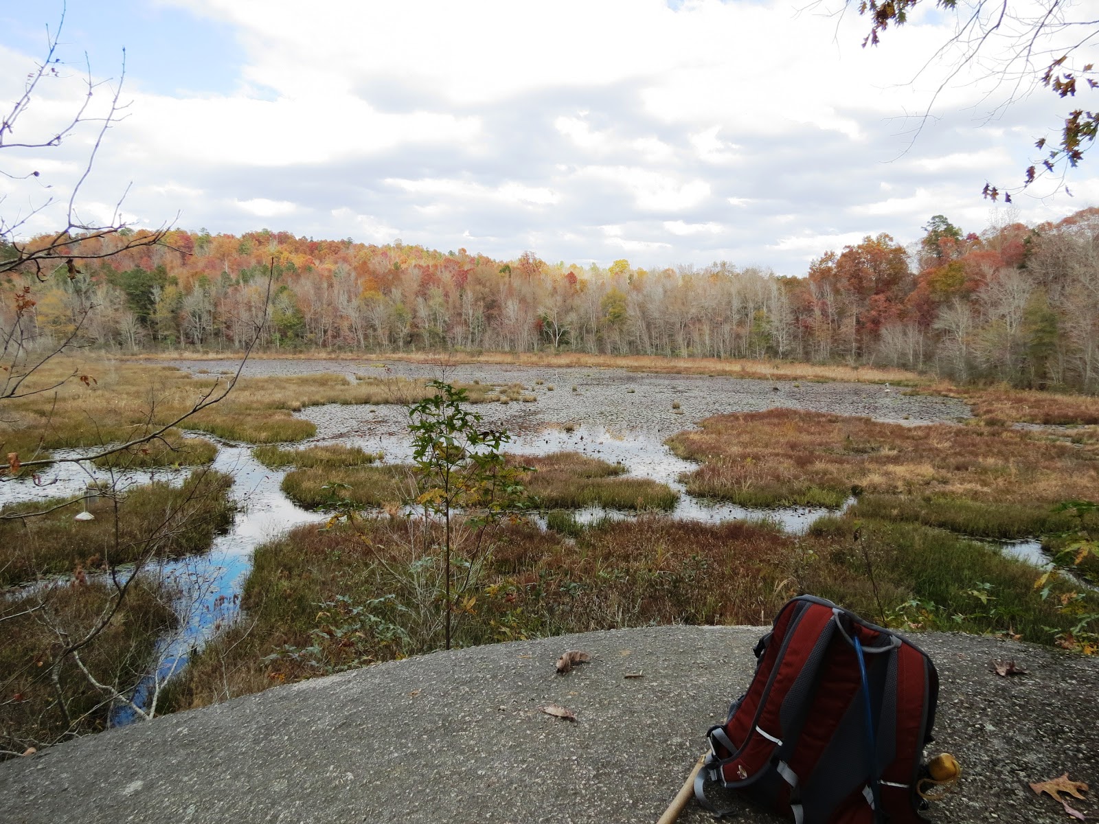 Another Take on Life, the World, and Adventure: 40 Acre Rock Heritage ...