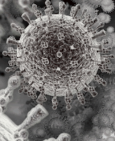 Short Notes on Microscopic Techniques: Different types of Microscopes ...