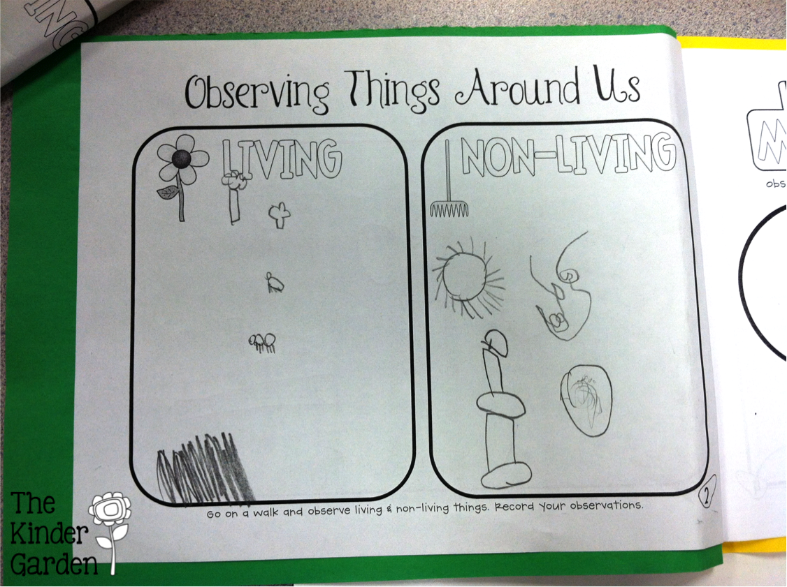 The Kinder Garden: Plants and Living Things {plus freebies!}