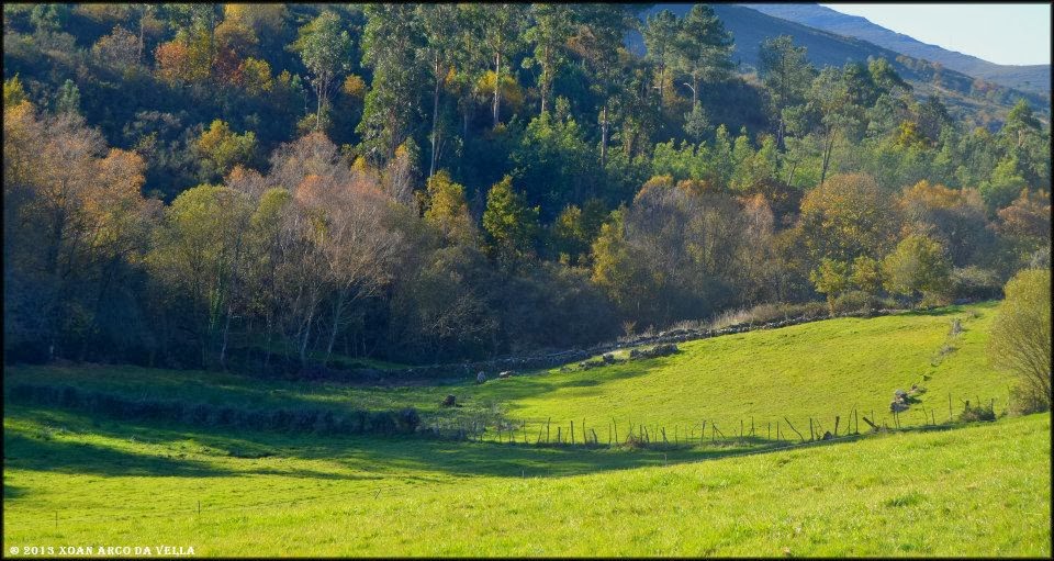 XOAN ARCO DA VELLA: MUIÑO DE ZOBRA - ZOBRA - LALIN