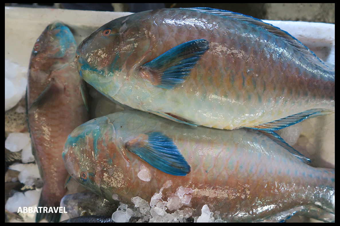 ABBATravel: Dubai - To Do (Dubai Fish Market) 09Sep2016