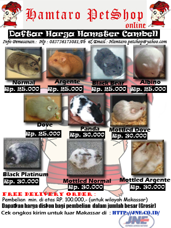 Hamustro Pet Shop: DAFTAR HARGA HAMSTER