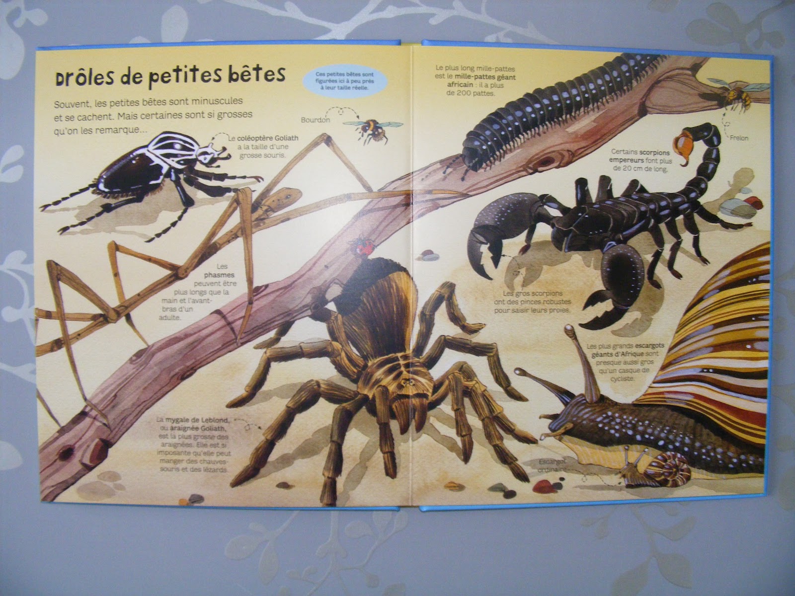 Les lectures de Mathilde: Mon livre des gros animaux et Mon livre des ...