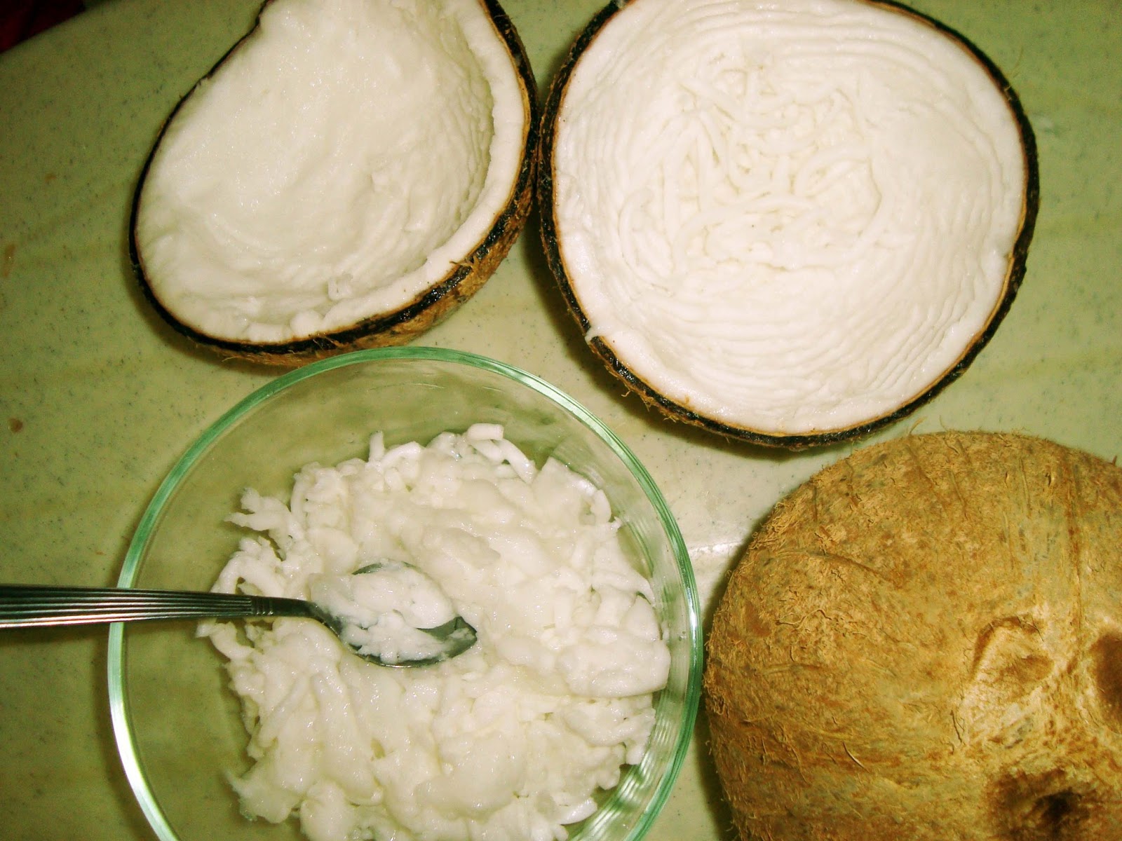 Living with Nature - School on Blog by Dr. Abercio V. Rotor: Macapuno ...