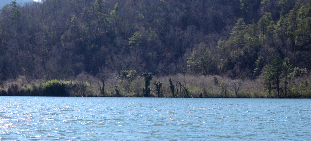 Gary's Outdoor Wanderings2: OLD MOUNTAIN MAN CABIN AT SCONA LODGE
