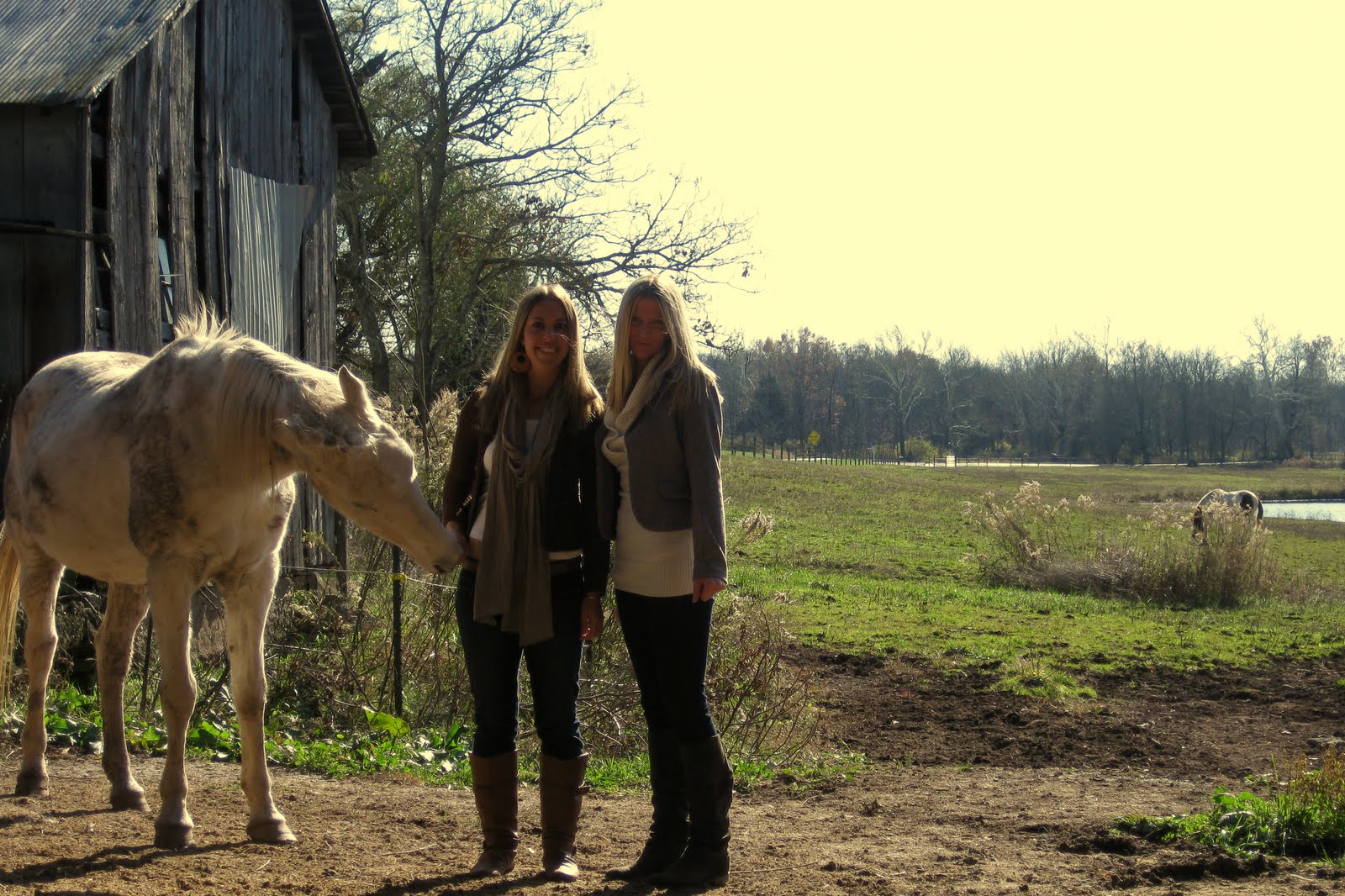 Hey Anthro, look what I can do...: Carly's House~ Before & Afters