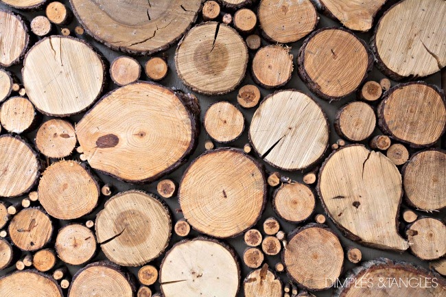 A DREAMY PATIO WOOD DISC WALL | Dimples and Tangles