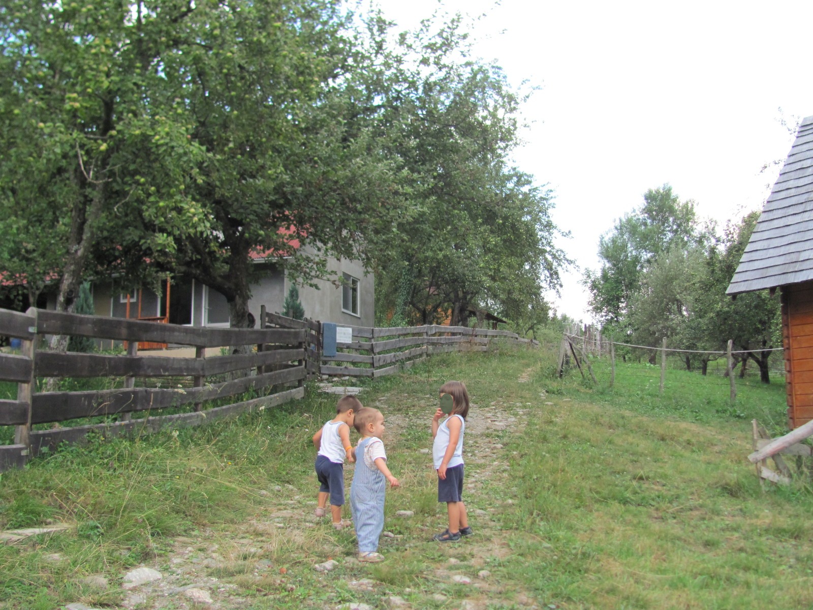 Un graunte de nisip, particule de viata: Military Camp la Satul de ...