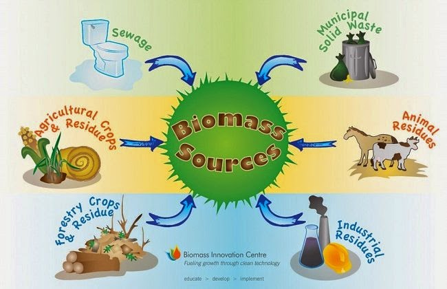 Jenis-jenis Energi Biomassa - Geograph88