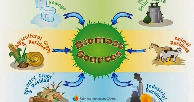 Jenis-jenis Energi Biomassa - Geograph88