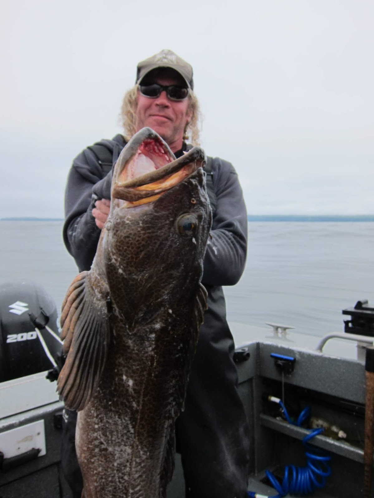 Todds Extreme Fishing: Neah bay salmon, lingcod , Cabazon, and rockfish!
