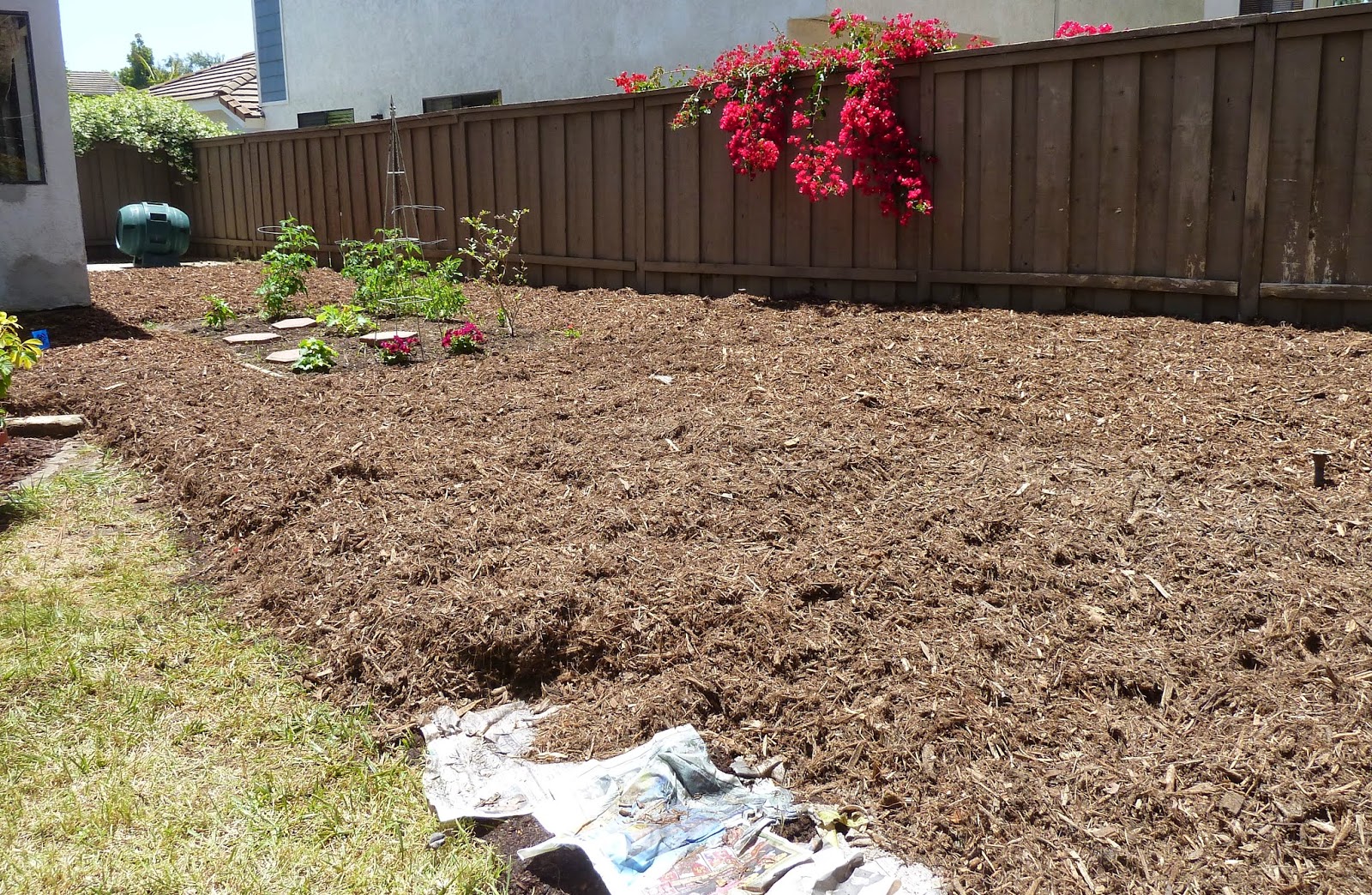 Observations: Soil Lasagna