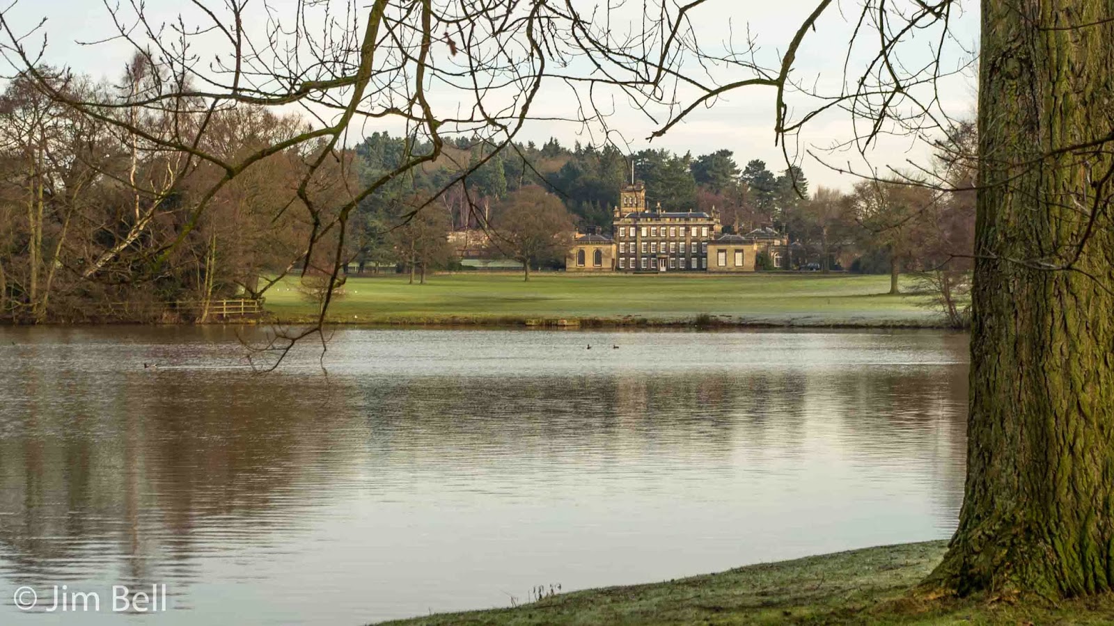 Out & About: Locko Park and Frosty Field