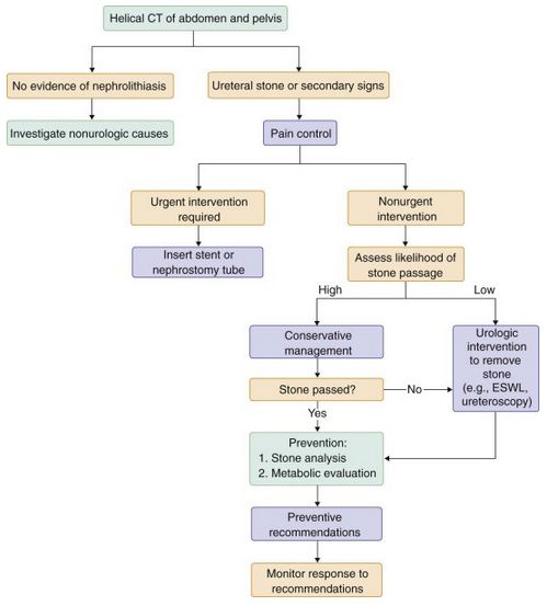 Lo que debe saber sobre Urolitiasis: TRATAMIENTO