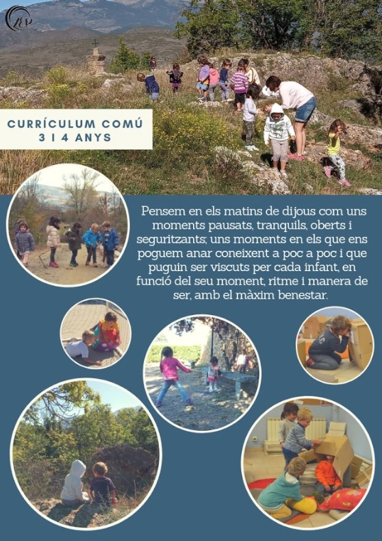 Què és ben bé això de Currículum Comú?