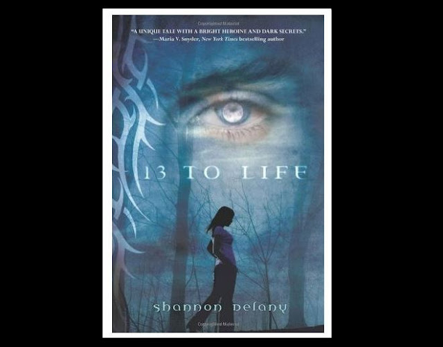 Book Review : 13 to Life (13 to Life #1) by Shannon Delany - READS | A ...