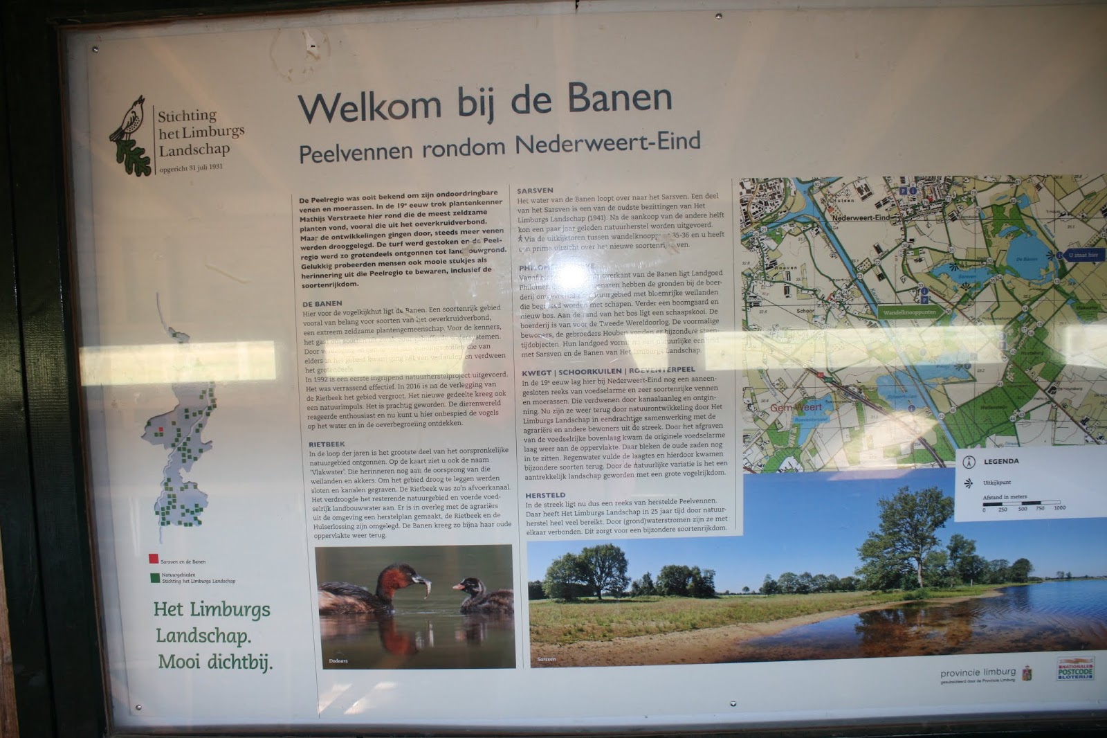 Natuurfotografie-Anita's-Art: Wandeling de Banen en Sarsven Nederweert Eind