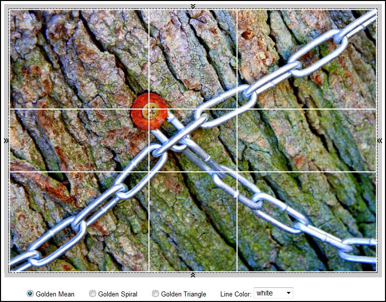 Basic composition rules 14: the golden ratio | Learn Composition by ...