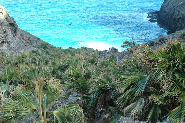 Nihoa Island, Hawaii - Travel Guide