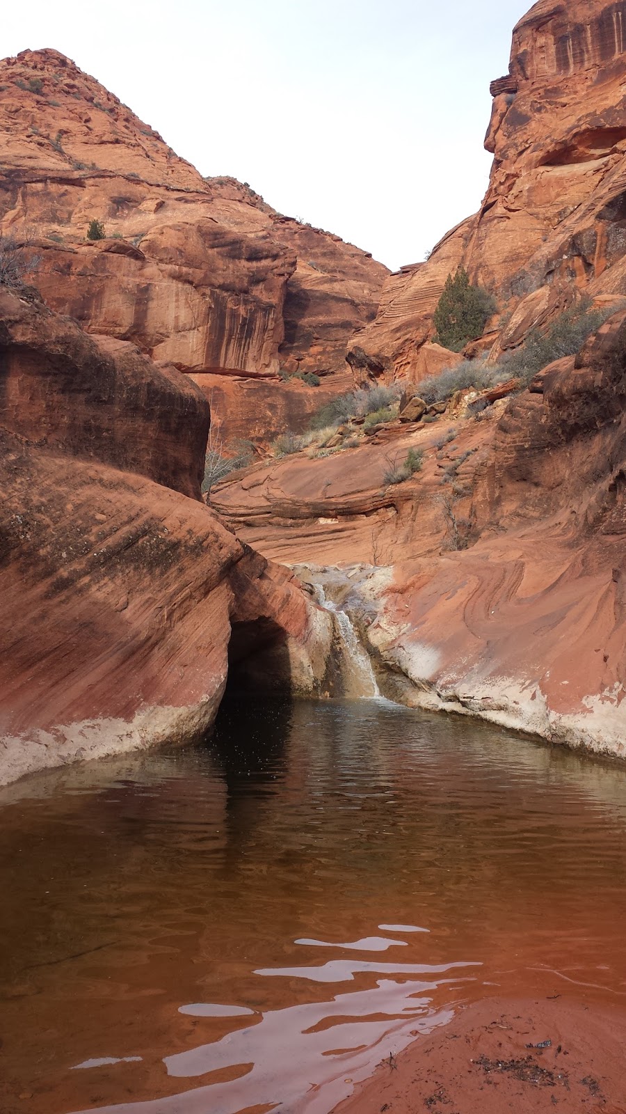 Running on Eddie: Red Cliffs Recreation Area - Leeds Utah
