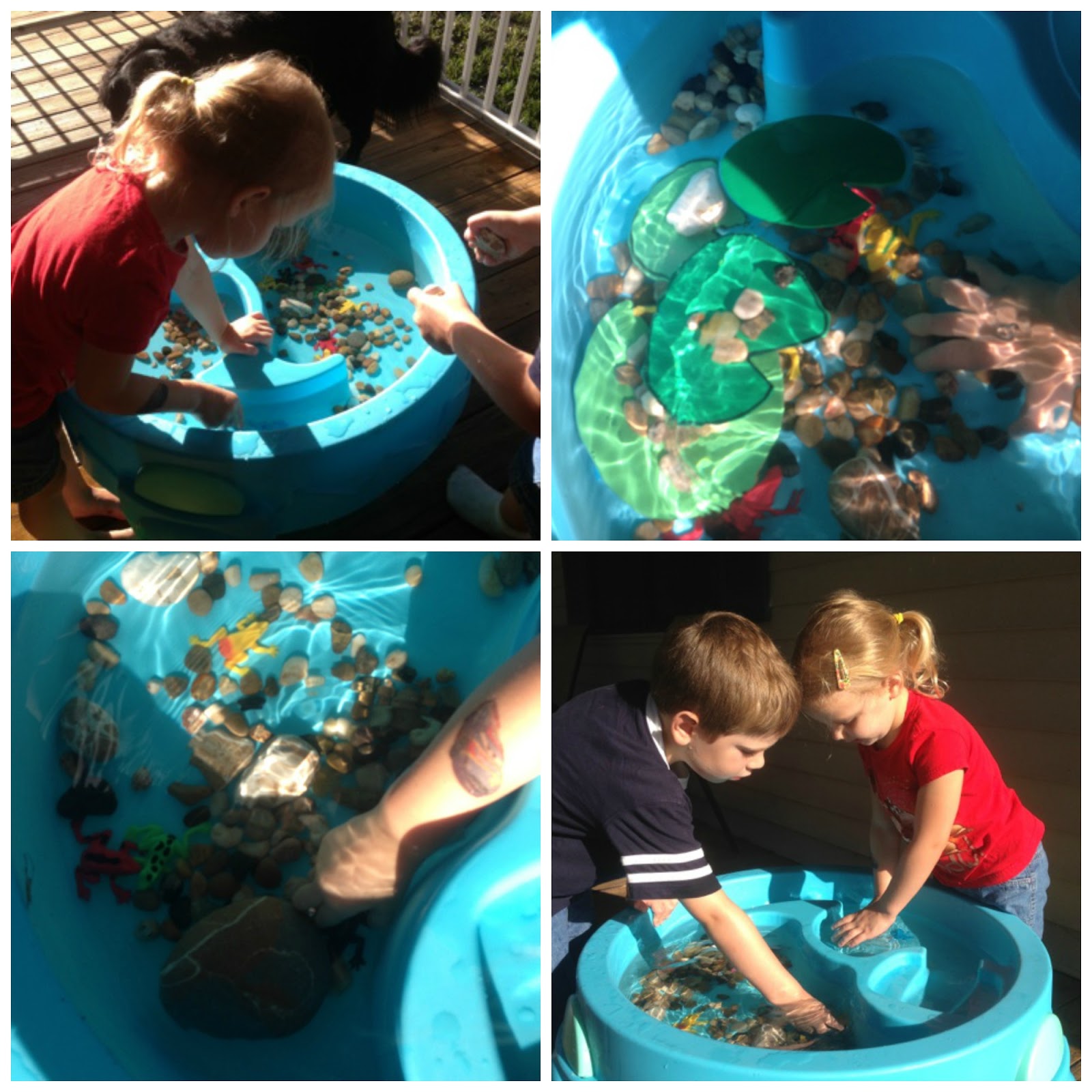 Encourage. Play. Learn.: Frog Sensory Ponds