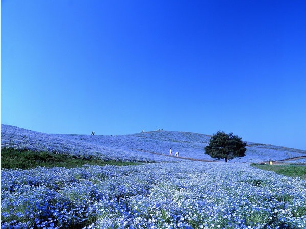 TRAVEL INTO WORLD: The Most Beautiful Scenery in the World - 2