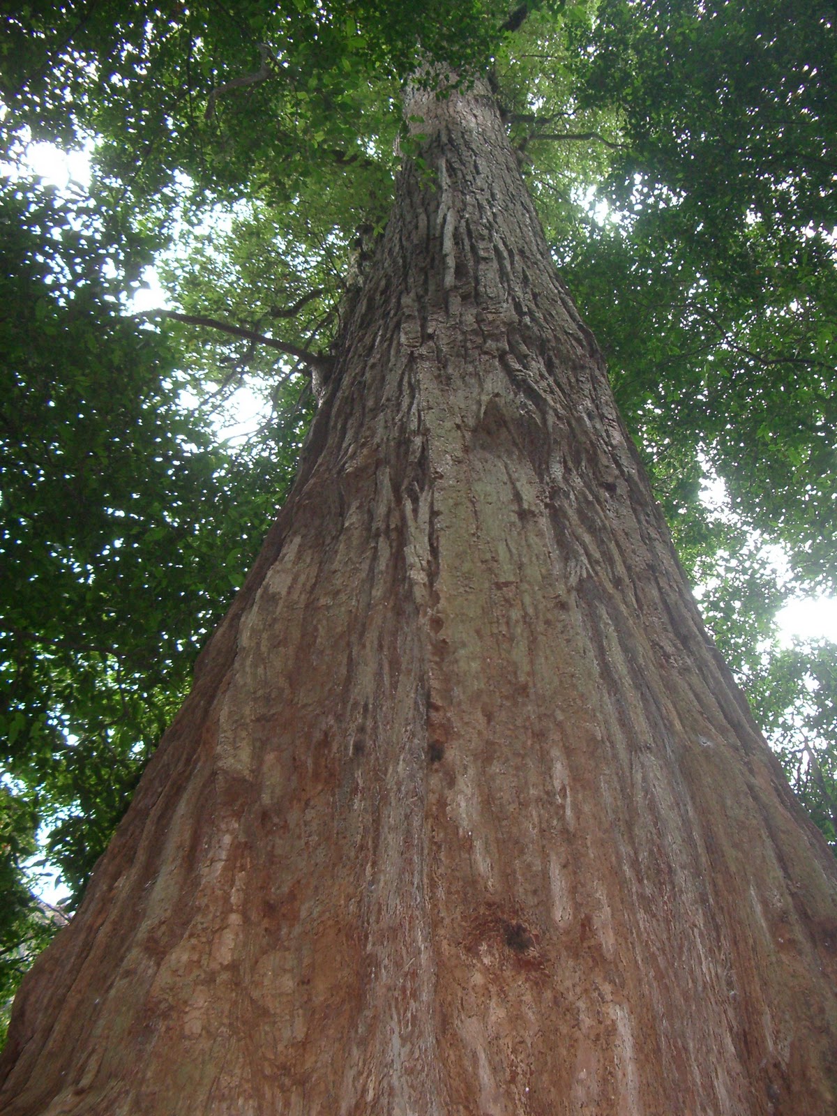 Tagish - Sailing around the World: February 2011